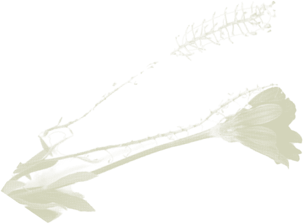 Luxury Apartment Residences - The Everly at Rouzan - Baton Rouge, LA